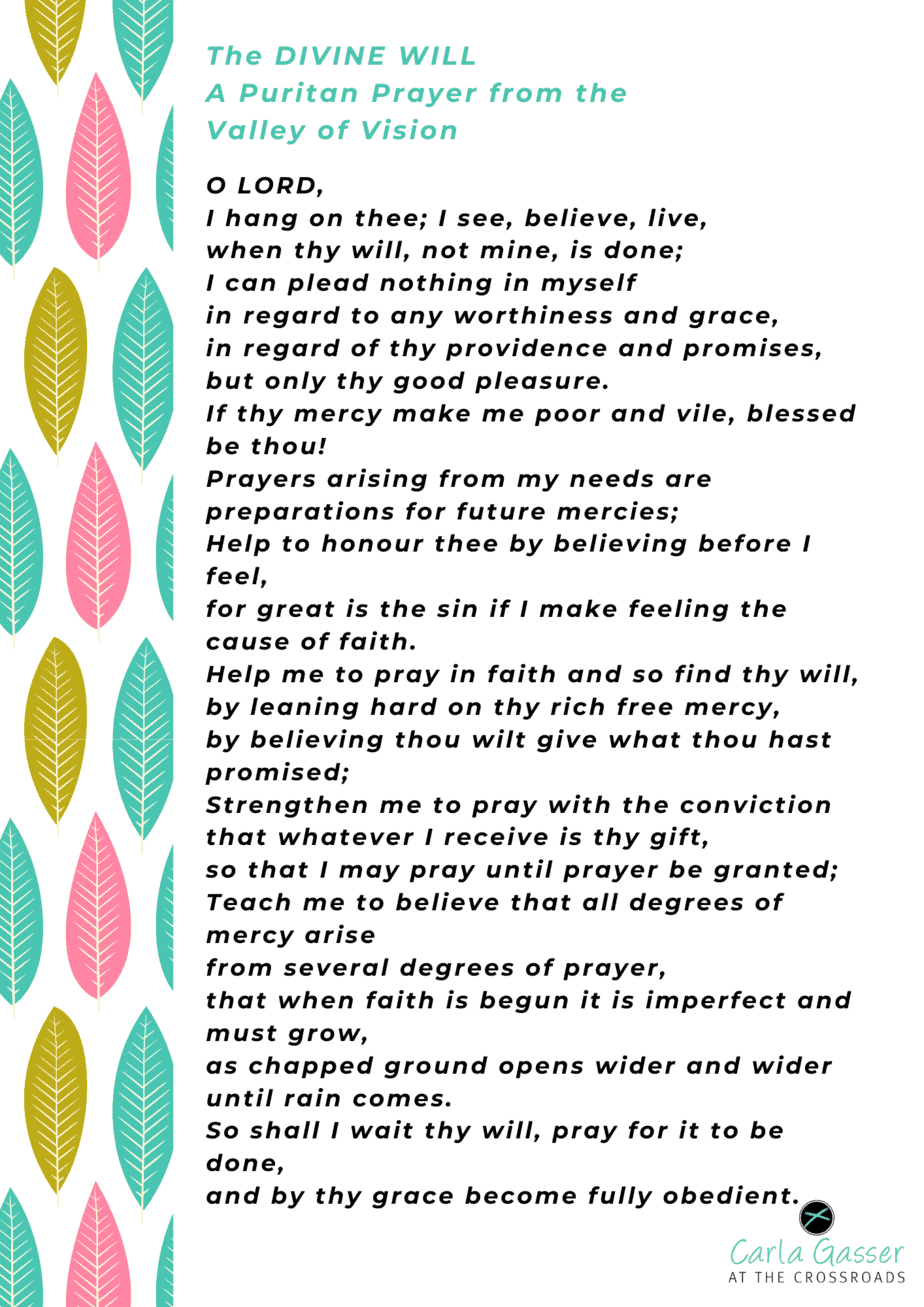 Thy Will Be Done: The One Prayer that Will Change Everything in Your Life